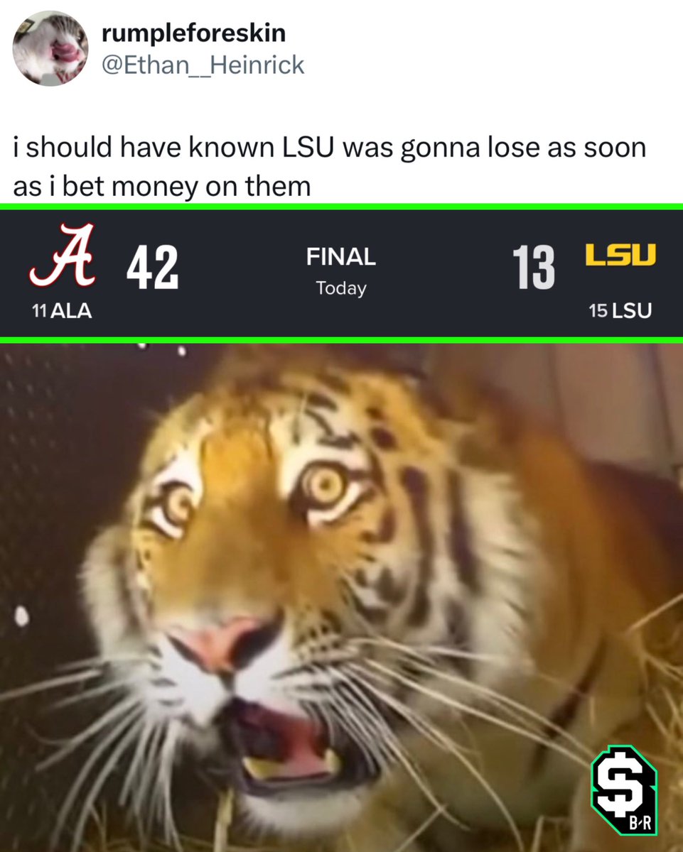 Lsu Tiger Memes How To (Really) Compete In Facebook Ads: The 9 Point