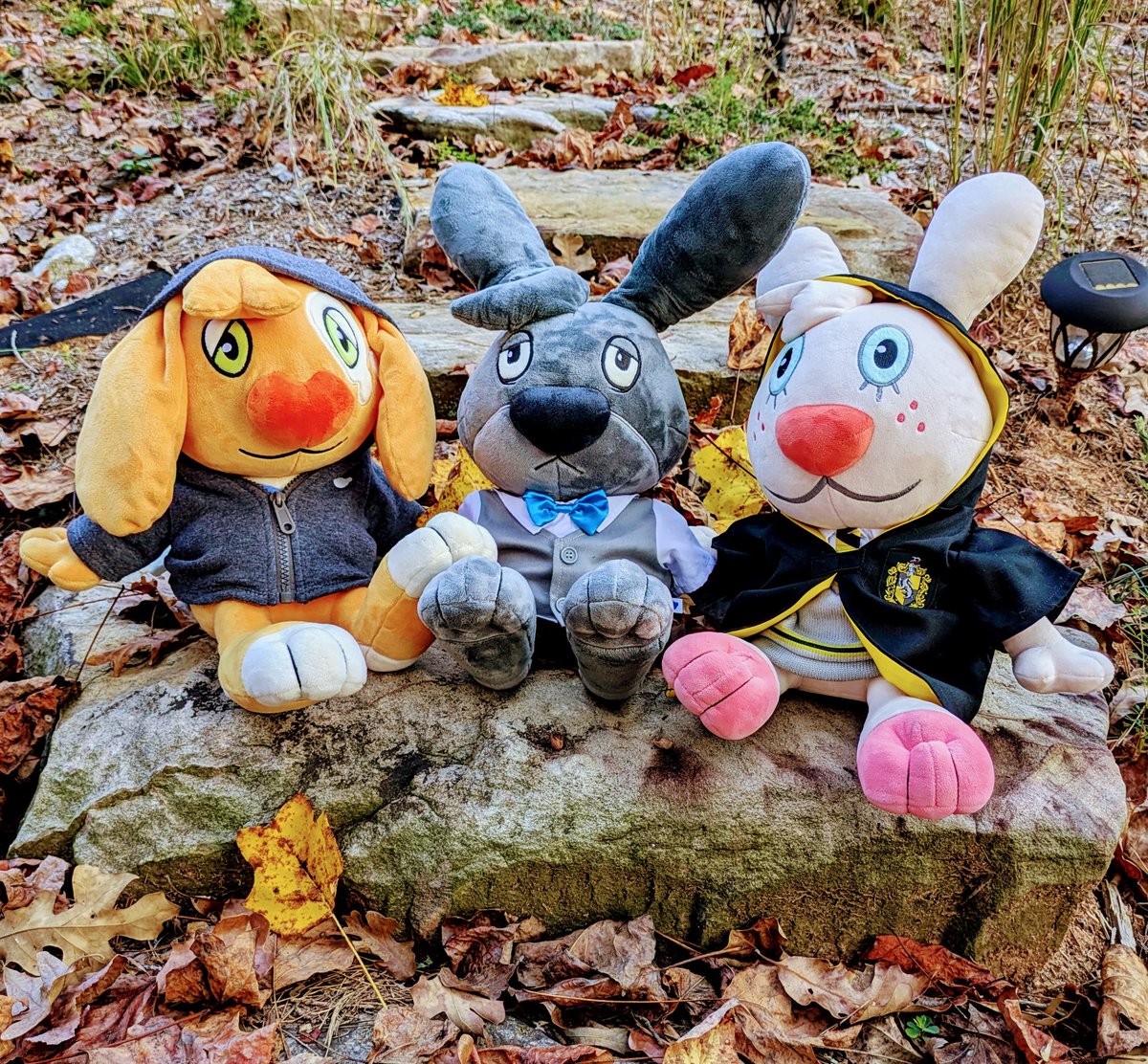 🎃 I hope everyone had a Happy Halloween! 🎃 Gabby dressed as a witch! 🧹 ...