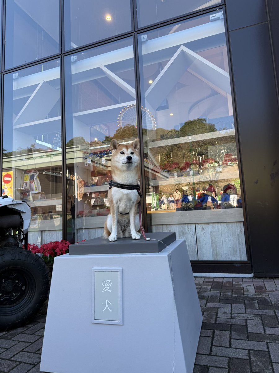 チカ(@Chk_DLB) - Twilog (ツイログ)