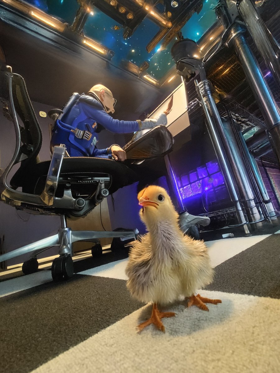 Susumu Hirasawa(@hirasawa) - Twilog (ツイログ)