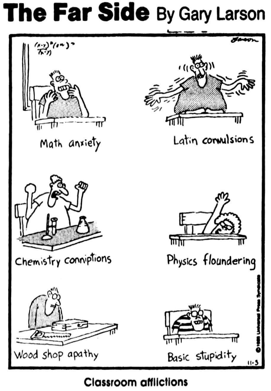 Math Cartoons Far Side Head For Numbers Cartoons And Comics Funny