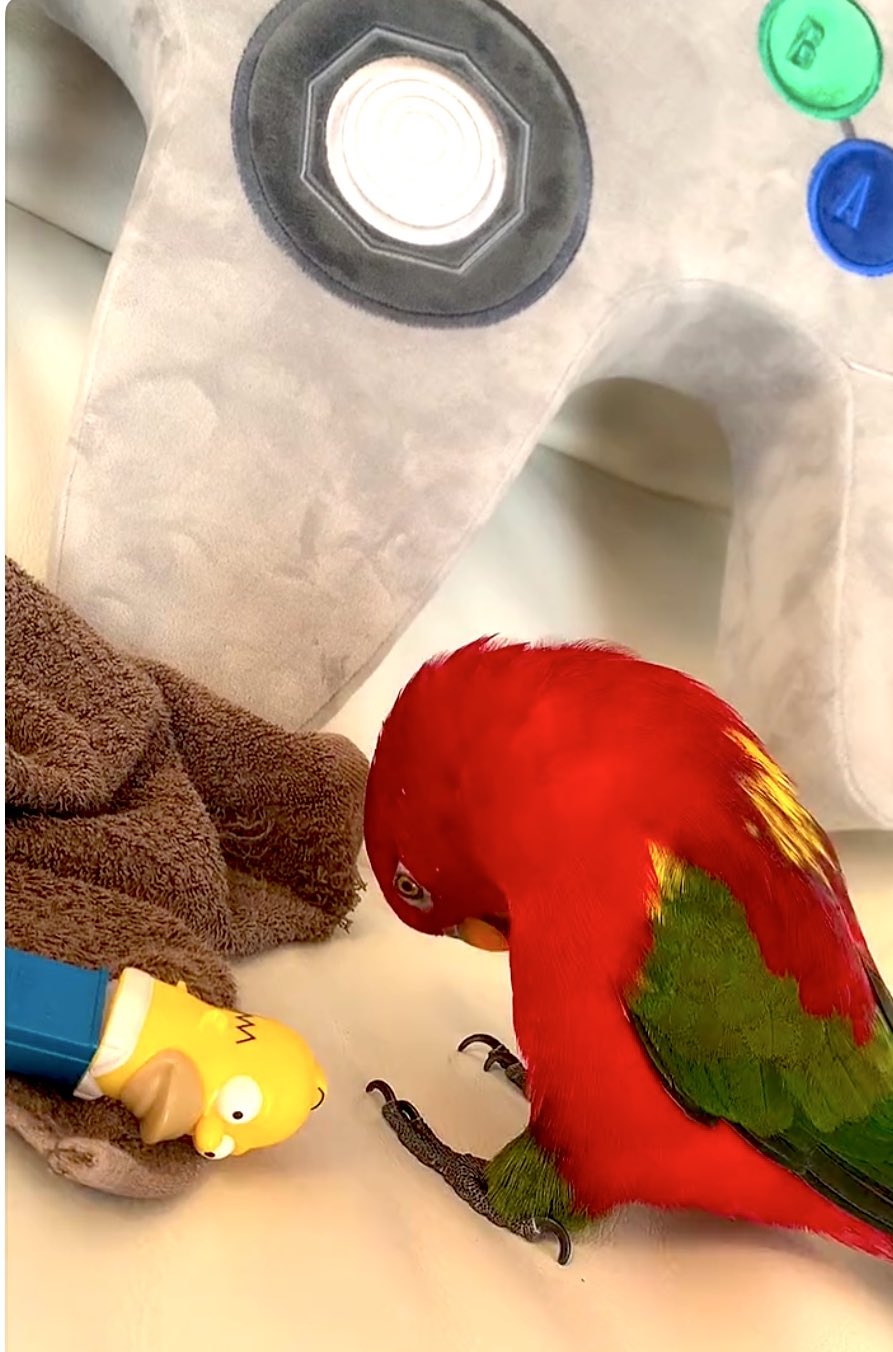 Hideaki Utsumi Hideaki Utsumi YouTube