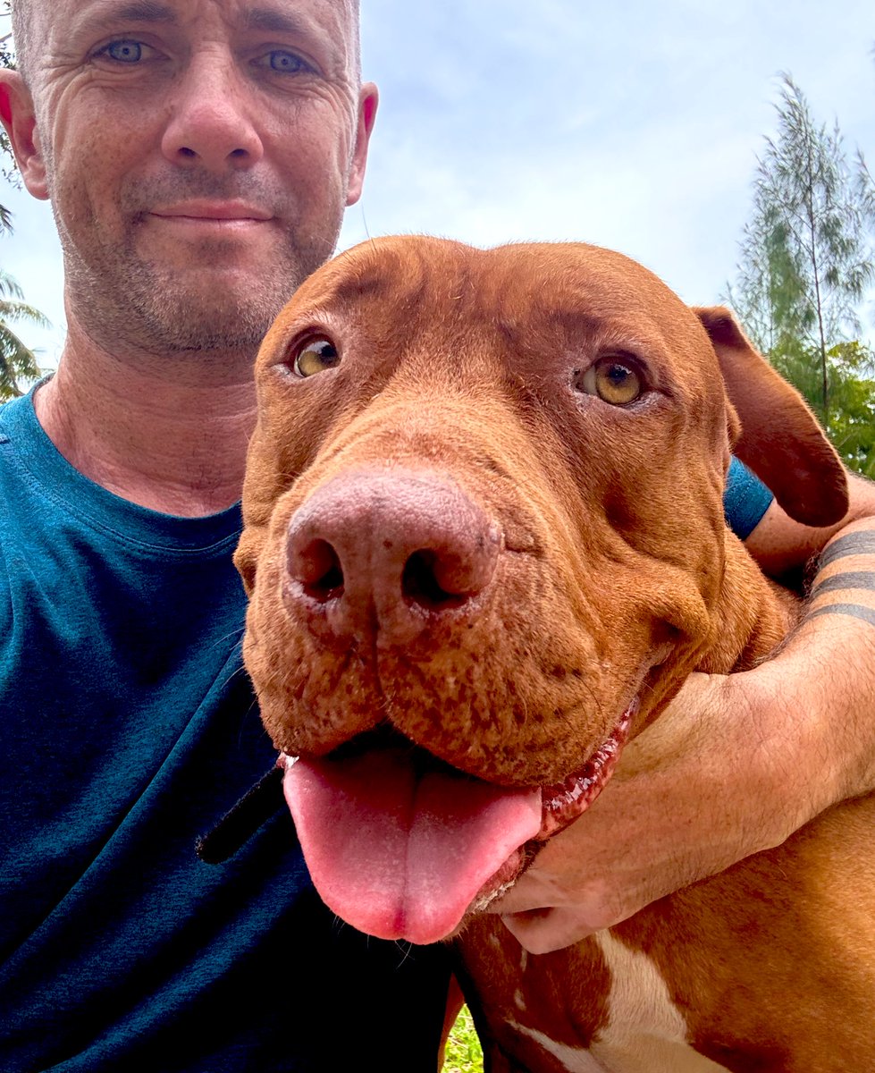 Niall Harbison's Threads – Thread Reader App