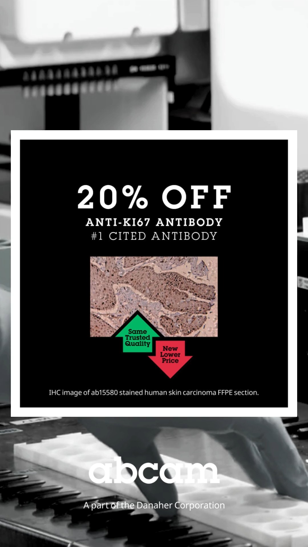 Abcam Antibodies Cancer Research Antibodies And ELISA Kits: Leading