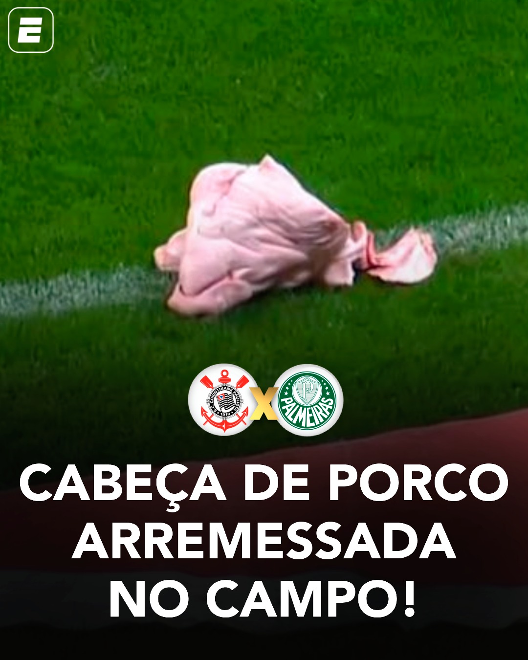 Memes Porco Palmeiras "🚨 NOTÍCIA QUENTE DO VERDÃO! Porquinho