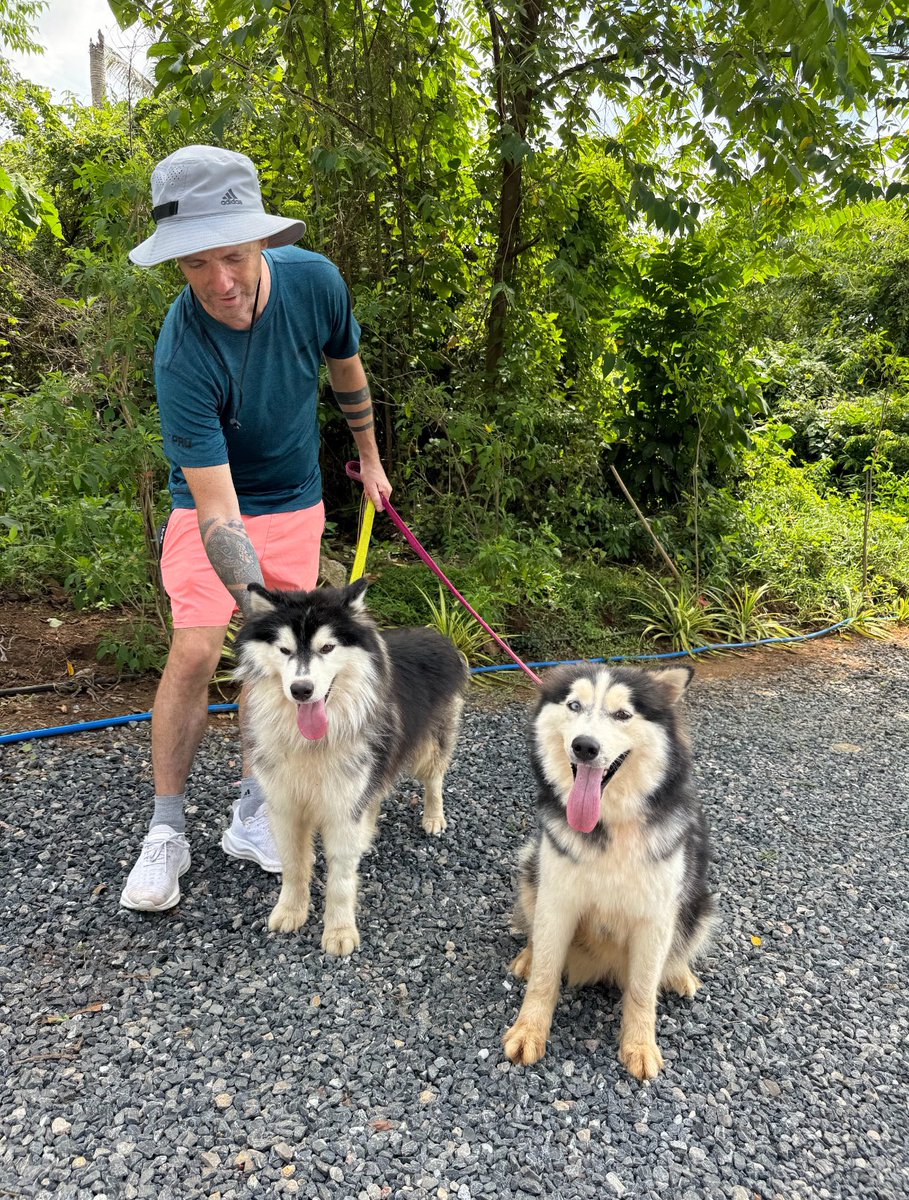 Niall Harbison's Threads – Thread Reader App