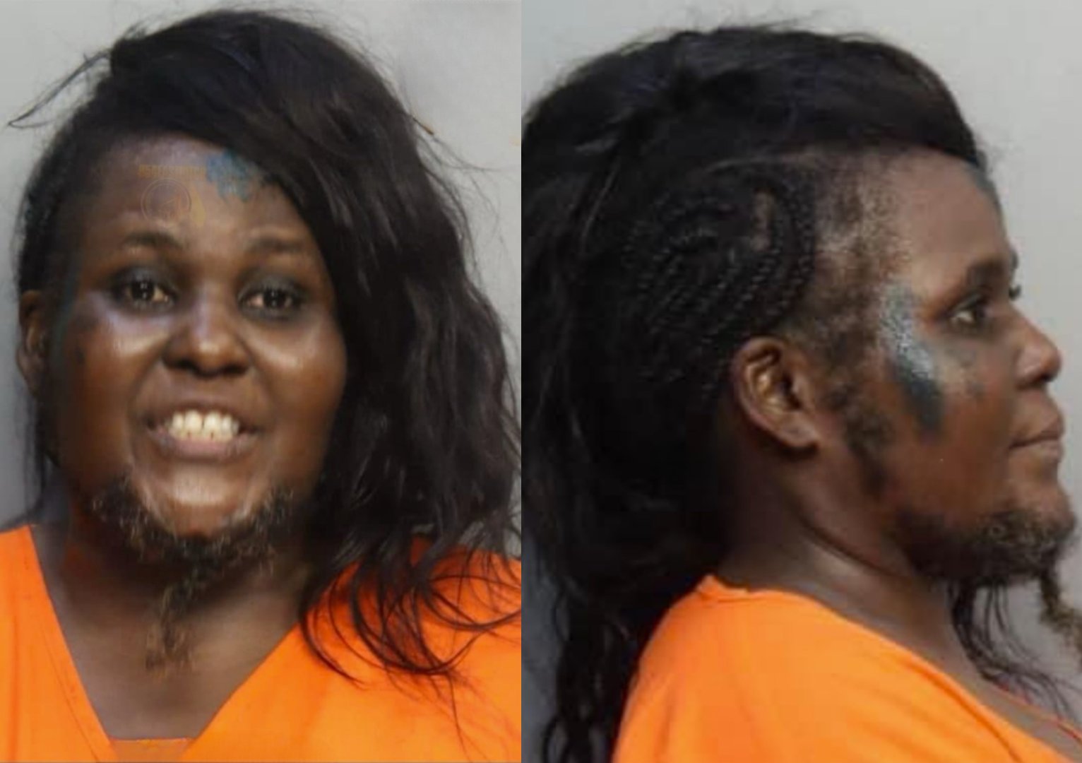 Female Miami Mugshot