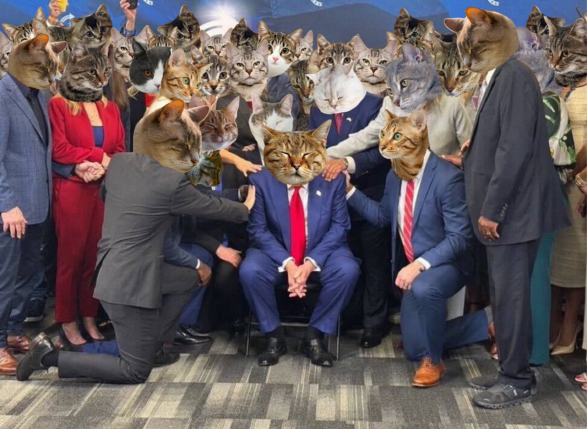 Zircuit upcoming launch, news and token information | CoinMarketCap