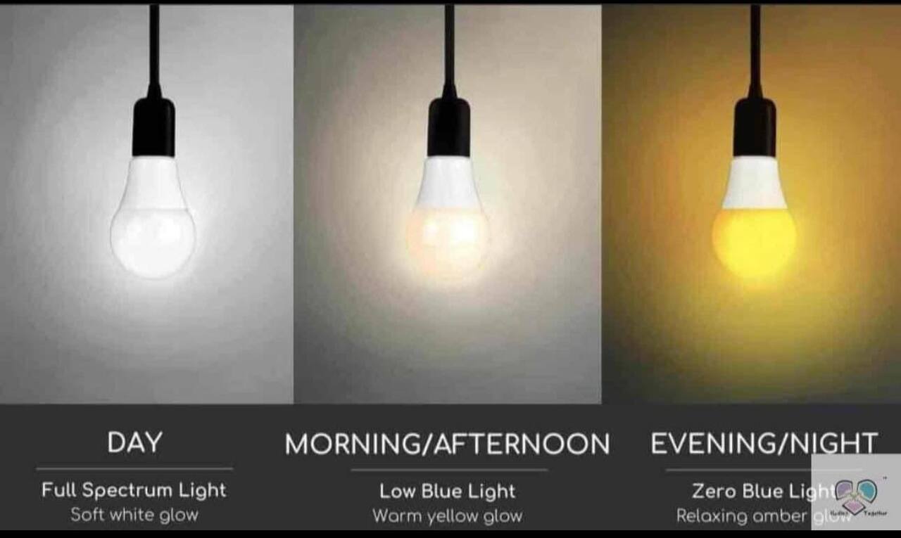 Visible Light Spectrum Fluorescent Bulb The Ultimate Guide To Spectrum