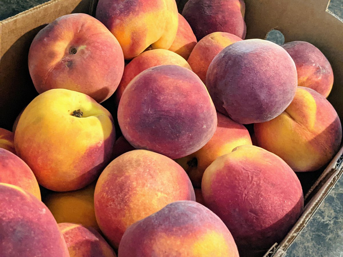 Chris Koerner's Threads – Thread Reader App