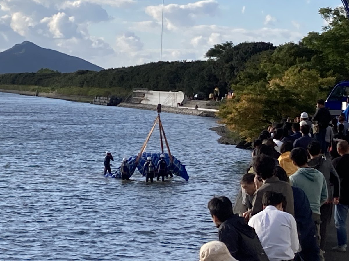 吉田ゆう🦈Yu Yoshida (@yuyoshida_shark) / Posts / X