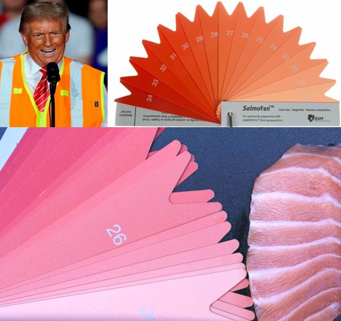 Salmofan Color Chart Measuring The Color Of Salmon In Fish Products