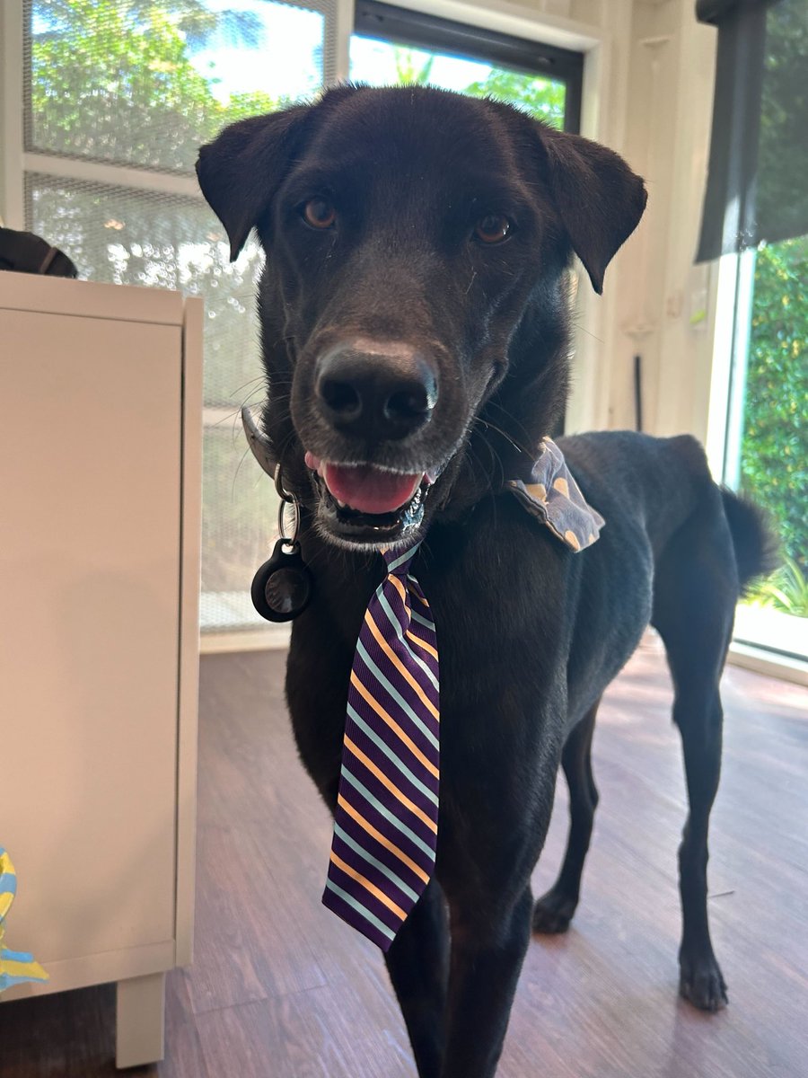 Niall Harbison's Threads – Thread Reader App