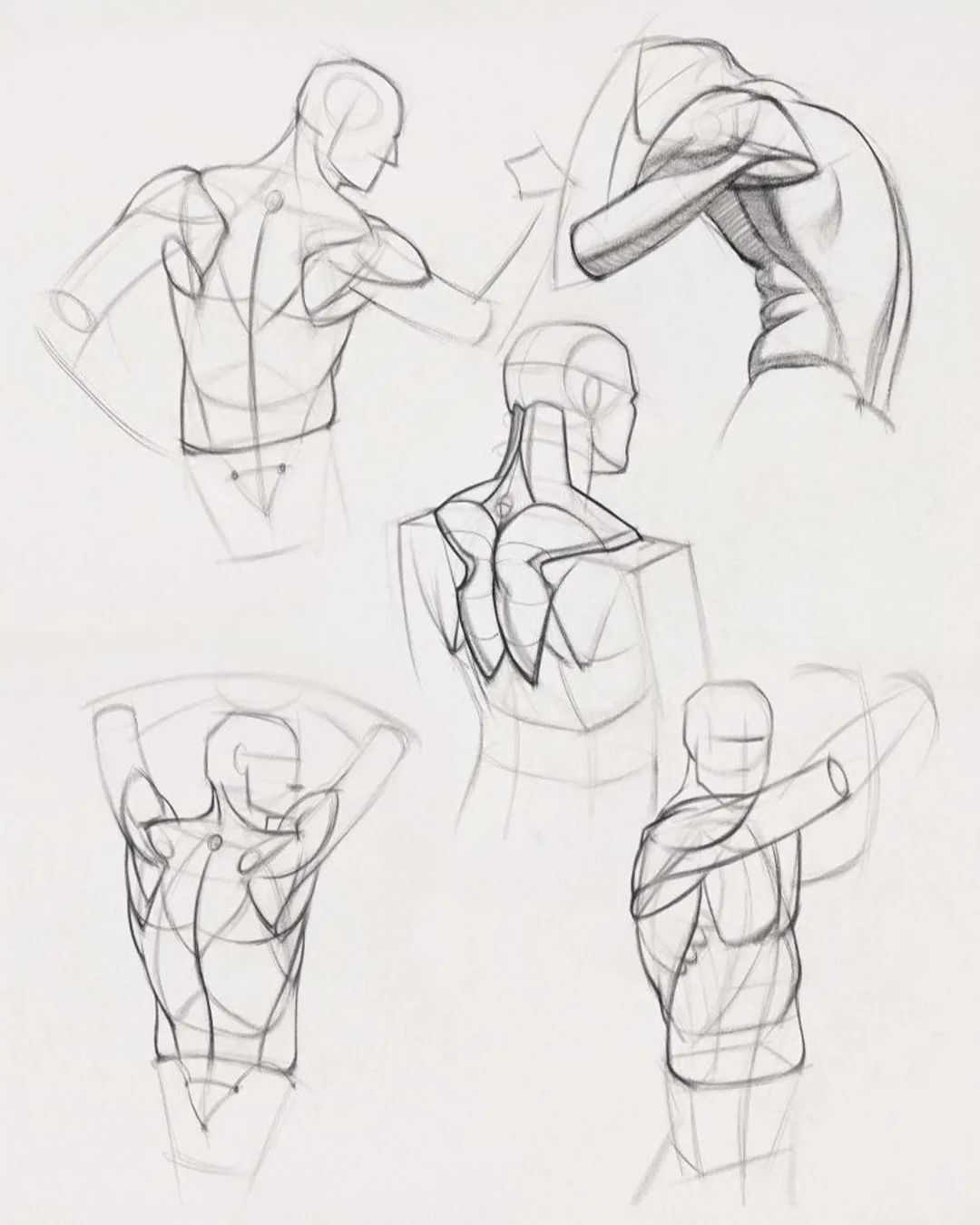 Pin On Anatomy Reference Figure Drawing Jesse Eredia Figure Drawing