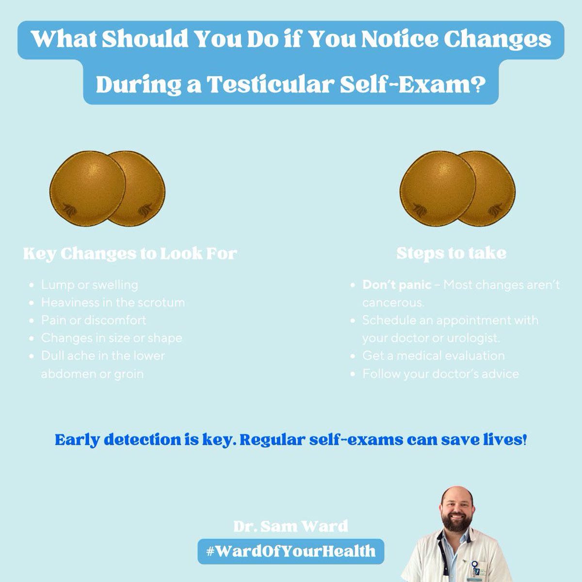 Testicular Self Exam Steps