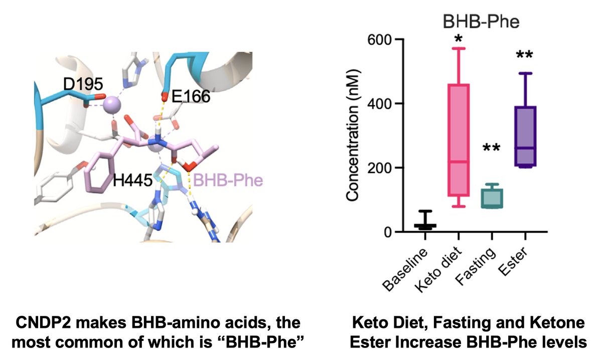 Thread by @nicknorwitz on Thread Reader App – Thread Reader App