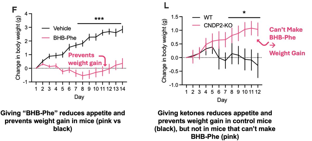 Thread by @nicknorwitz on Thread Reader App – Thread Reader App