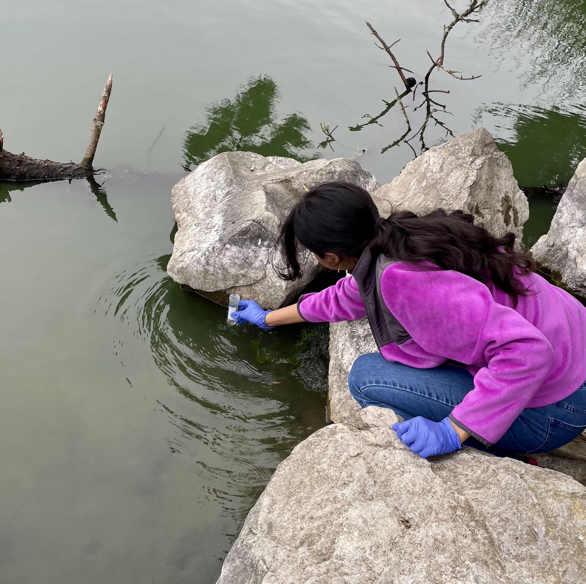 Deepa Rajan's Threads – Thread Reader App