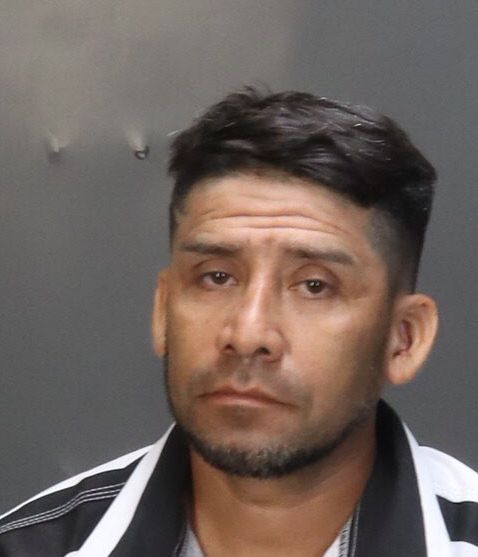 Akeem Daley's Instagram, Twitter & Facebook on IDCrawl