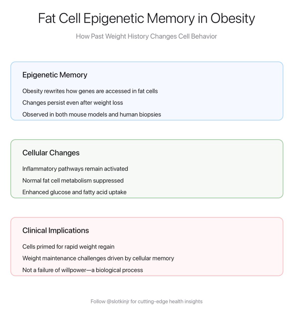 Nature Study Reveals Fat Cells' Epigenetic Memory Explains Yo-Yo ...