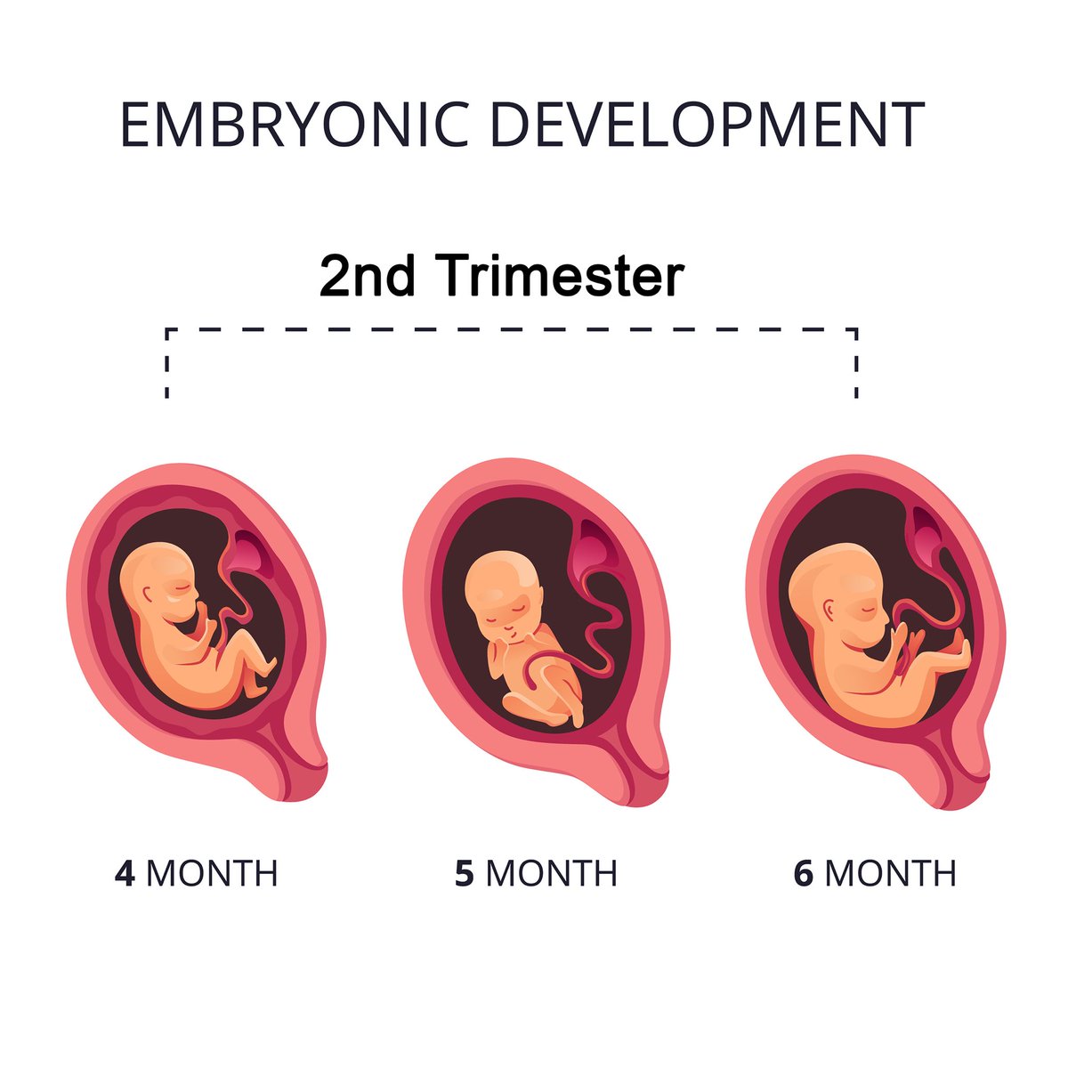 If you’re pregnant or have a pregnant family member this thread is for ...
