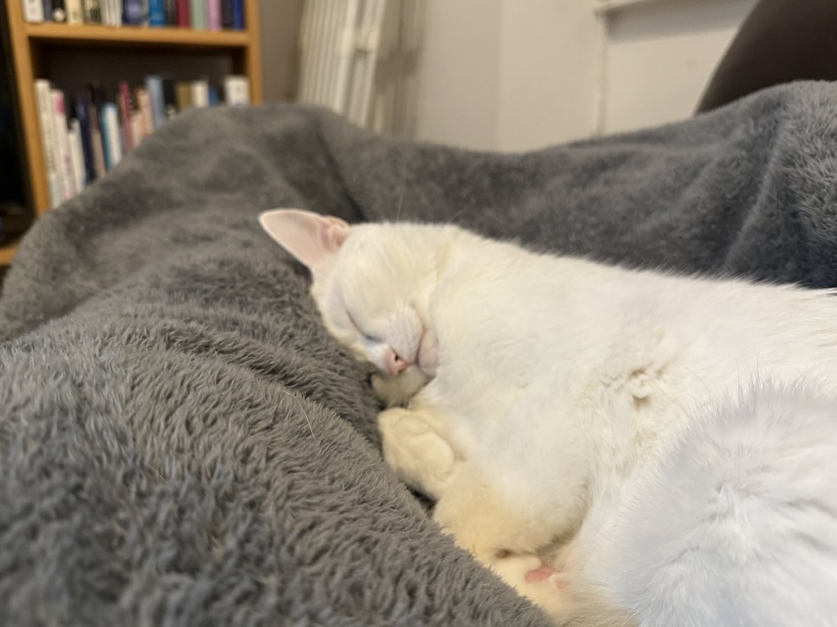 tetsuyakumagai(@doukana) - Twilog (ツイログ)