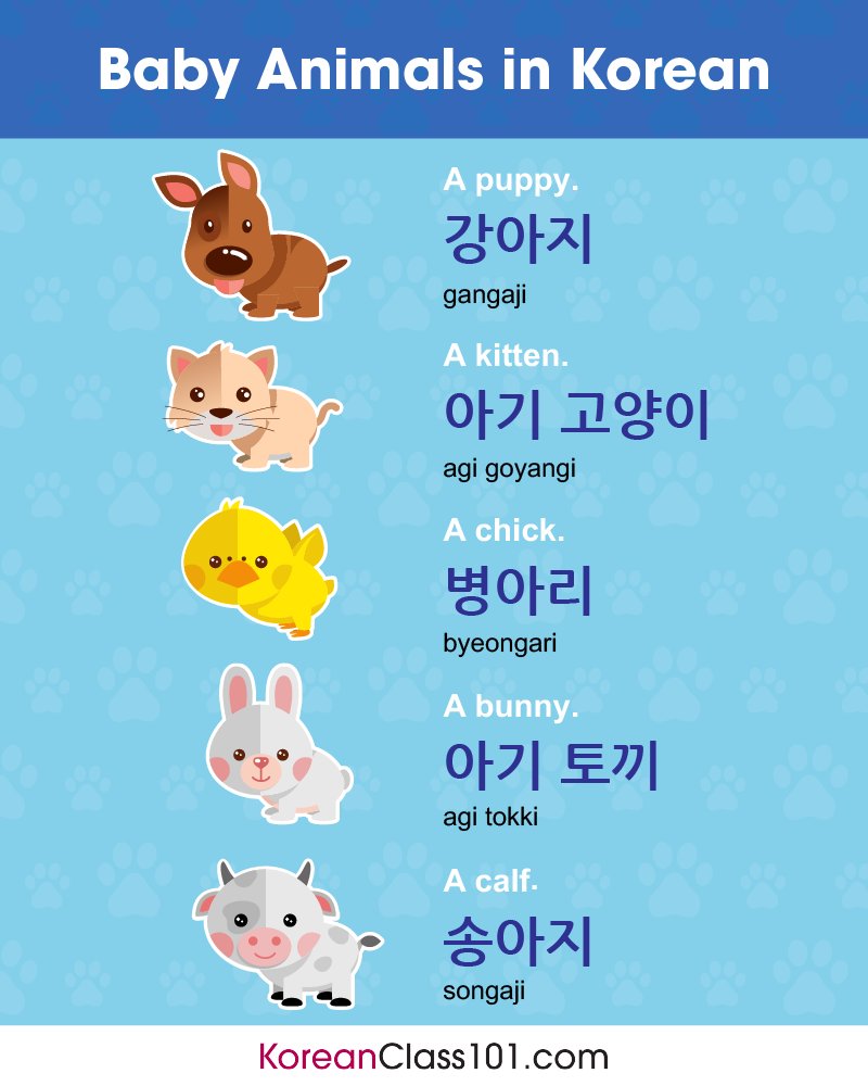 Korean Words Animals