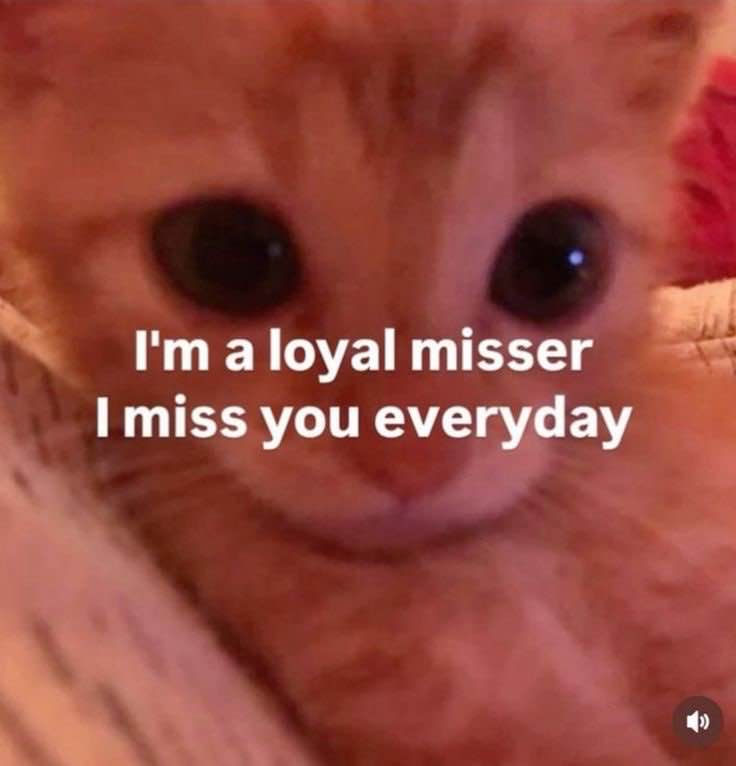 I Miss You Cat Memes