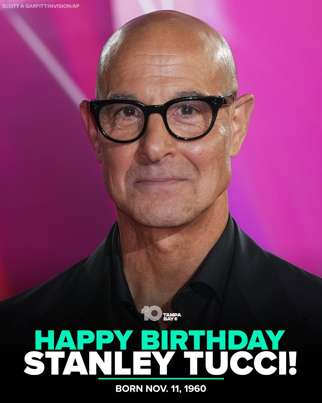 Stanley Tucci Julie E Julia Tucci Joins Julie And Julia | Movies