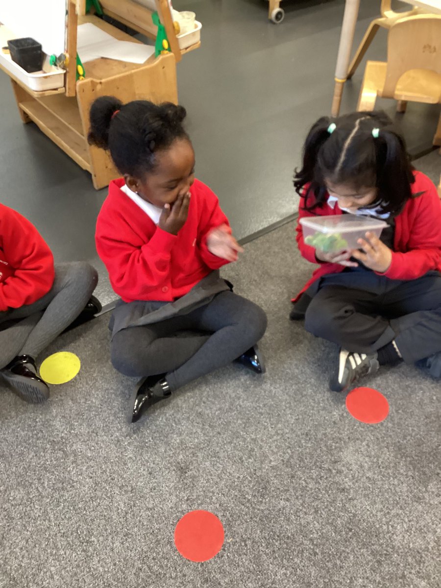 Reception - Village Infants School