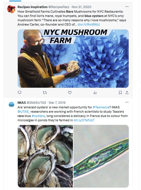 Blue Öyster Cult's record producer "Sandy" Pearlman was the Schulich ...