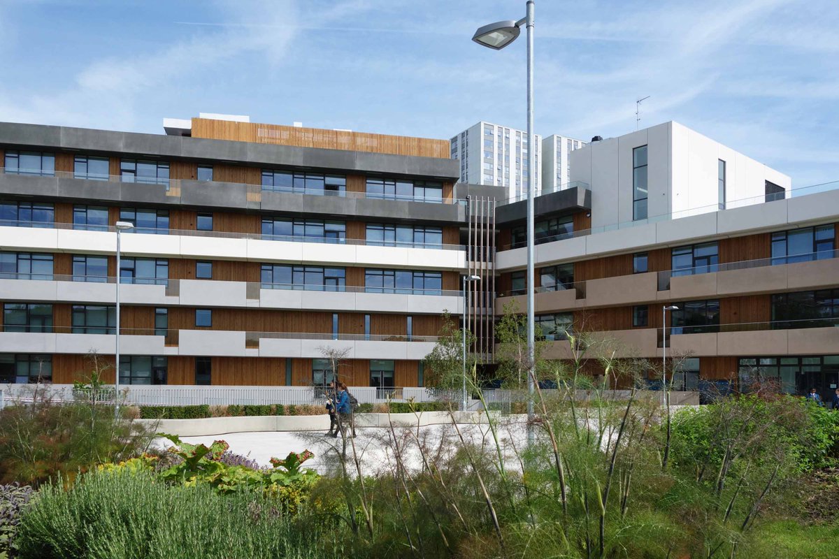 Subjects and Entry Requirements | UCL Academy