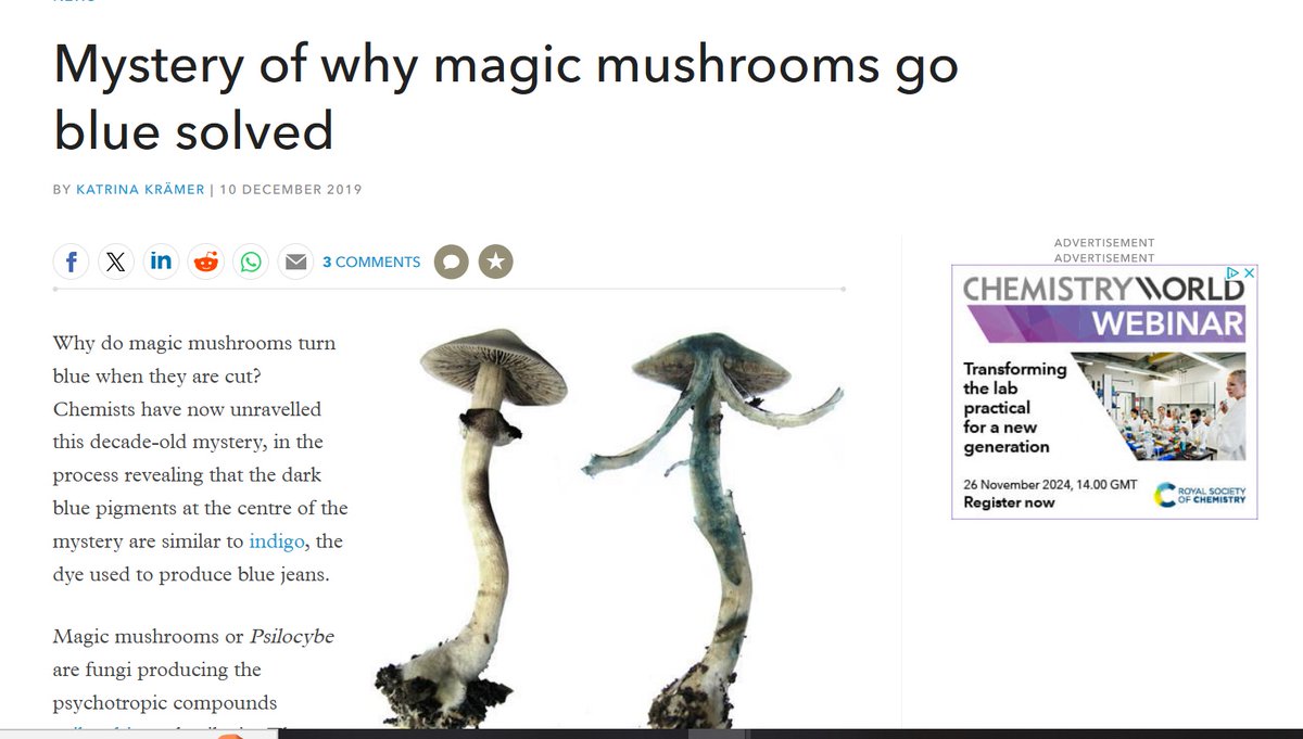 Blue Öyster Cult's record producer "Sandy" Pearlman was the Schulich ...