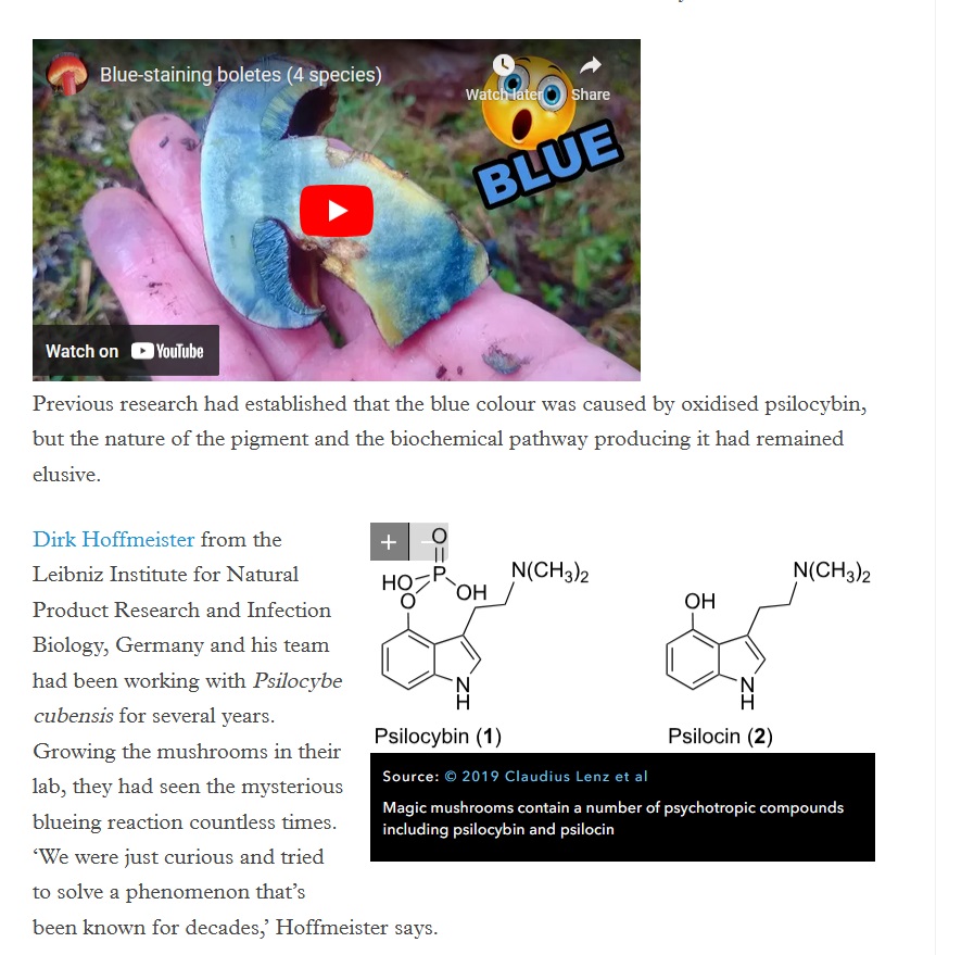 Blue Öyster Cult's record producer "Sandy" Pearlman was the Schulich ...