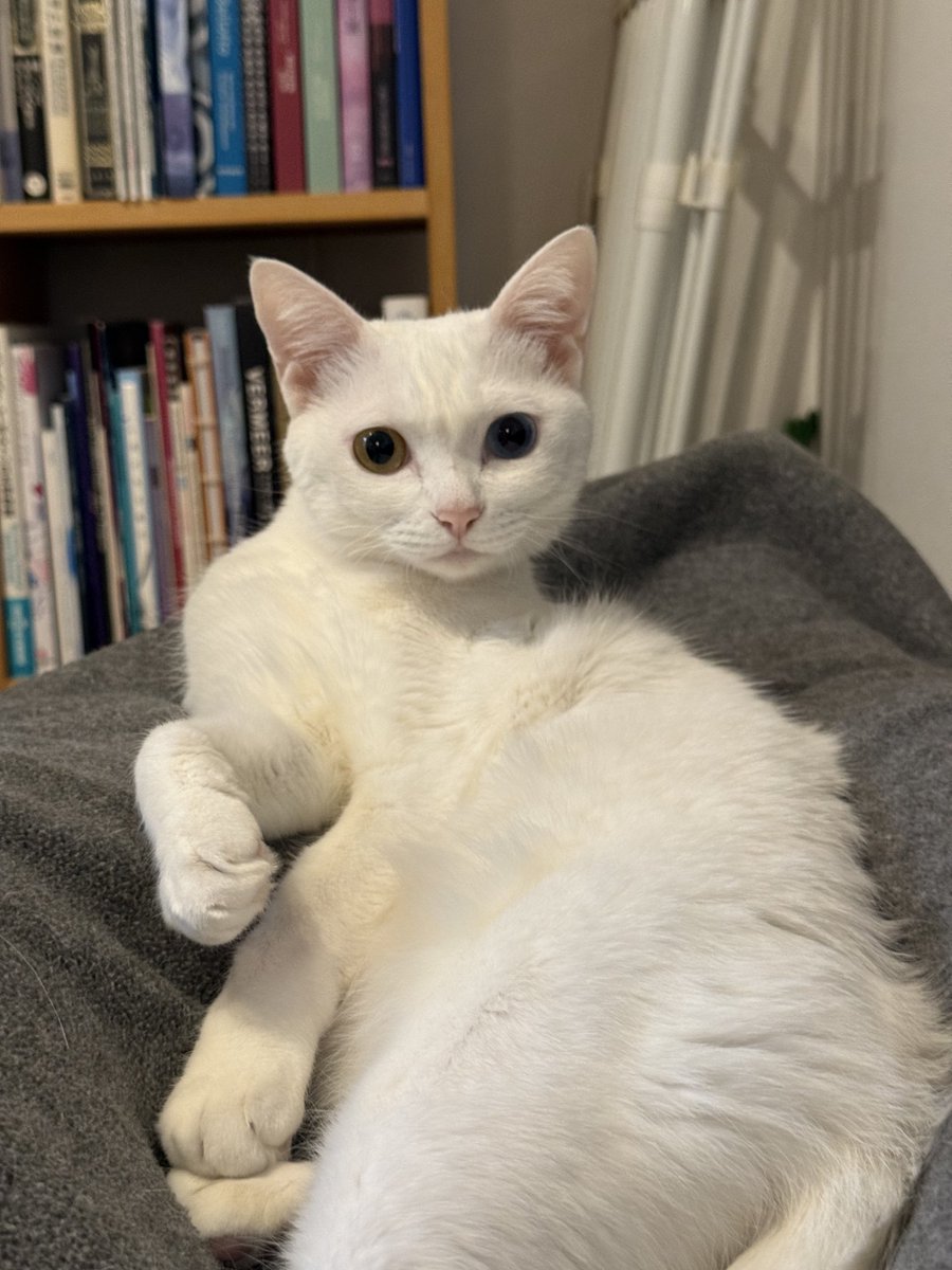 tetsuyakumagai(@doukana) - Twilog (ツイログ)