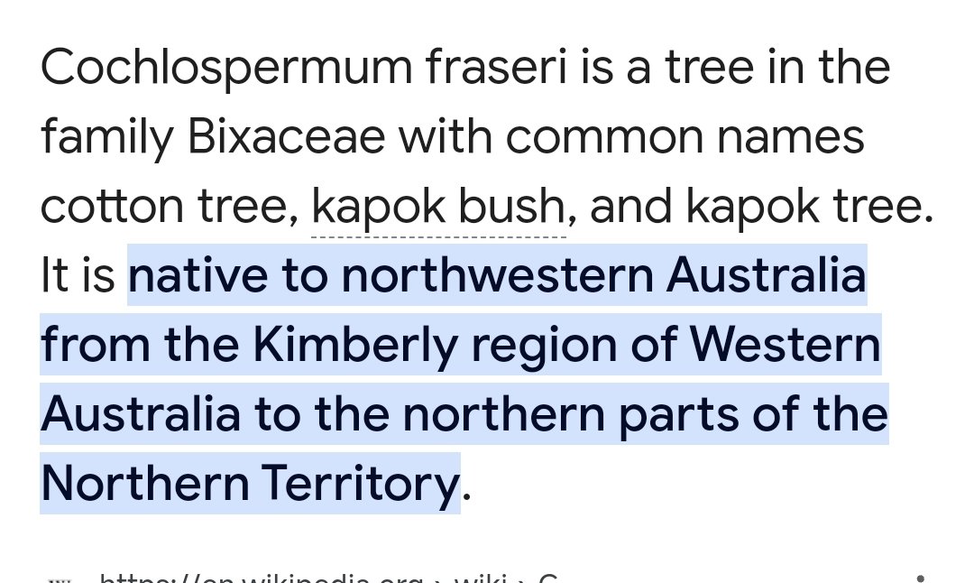 #Thread | 𝗧𝗵𝗲 𝗣𝗮𝗿𝗮𝗰𝗮𝘀 𝗧𝗿𝗶𝗱𝗲𝗻𝘁 𝗼𝗳 𝗣𝗲𝗿𝘂 & 𝗜𝘁𝘀 𝗖𝗼𝗻𝗻𝗲𝗰𝘁𝗶𝗼𝗻 𝘄𝗶𝘁𝗵 𝗥𝗮𝗺𝗮𝘆𝗮𝗻𝗮 ...