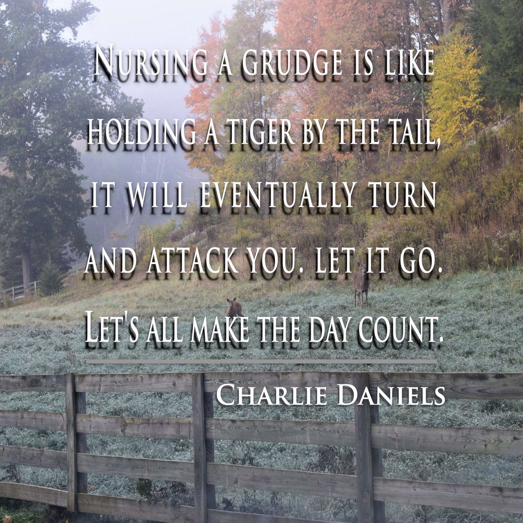 Bear Grudges Quotes Some Interesting Quotes From Udyr's New VO. I'd