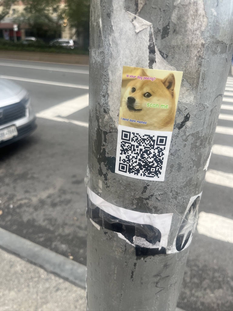 Lost Doge Meme Original
