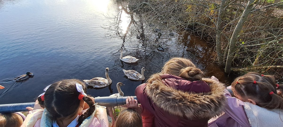 Christ the King Catholic Primary School | Part of the Nicholas Postgate ...
