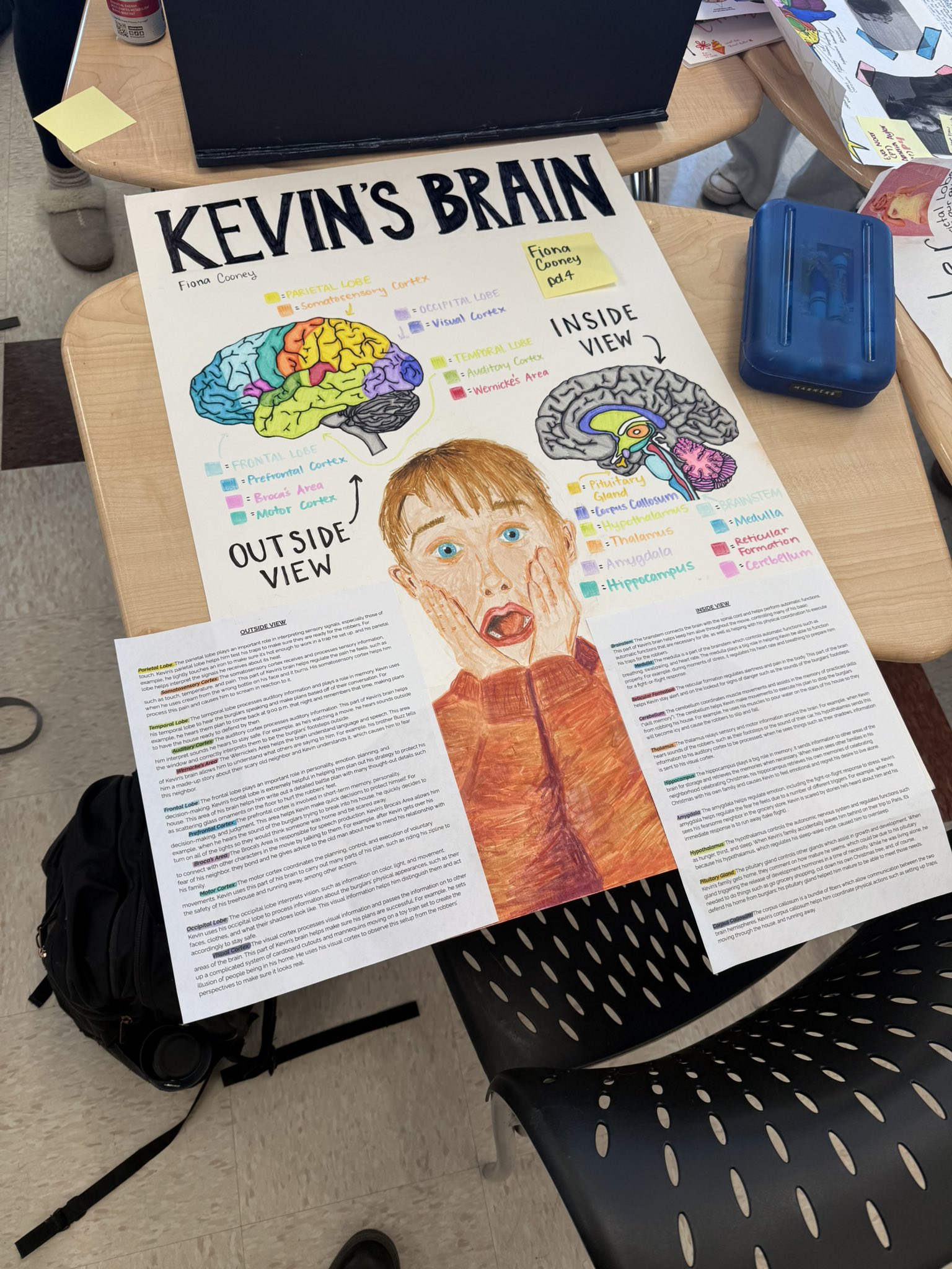 Ap Psychology Celebrity Brain Project 60 Photos - Moonagedaydream.film