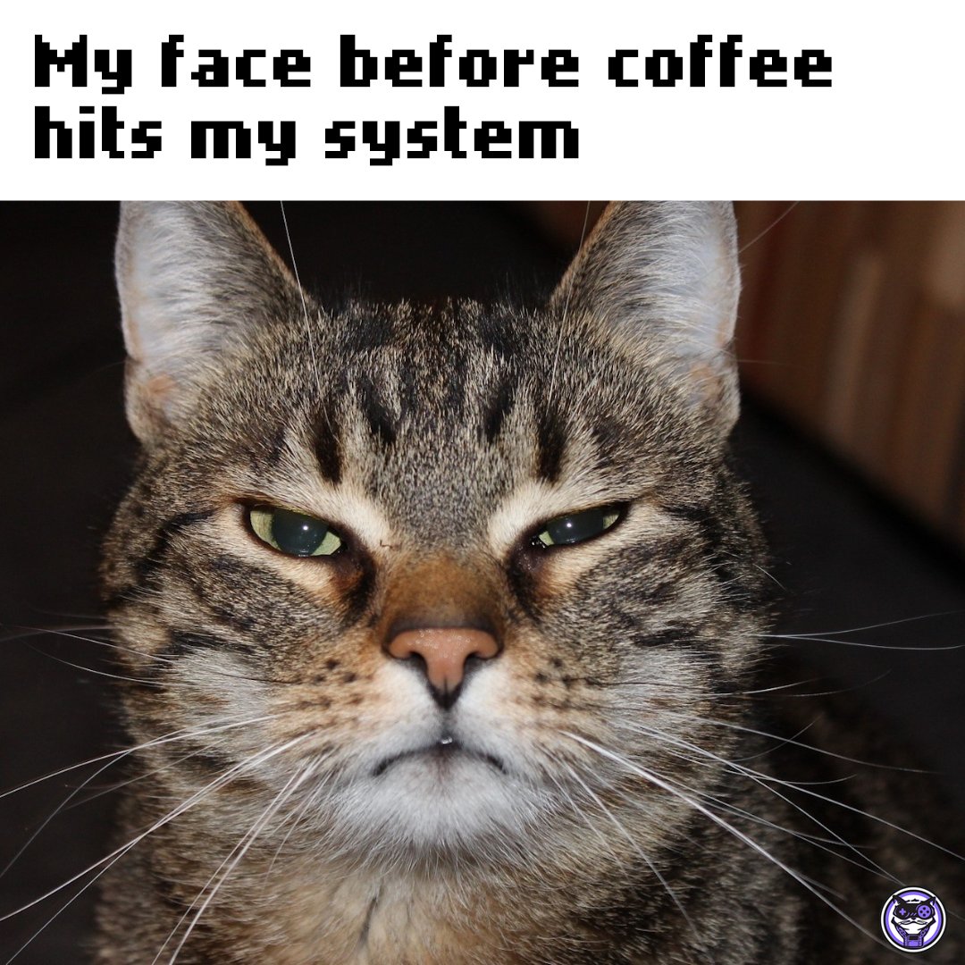 Pre Coffee Memes