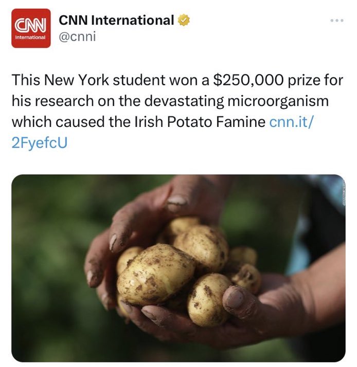 Famine Memes Ireland And Parliament During The Potato Famine – Memes