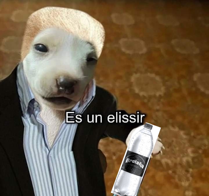 Memes De Esquiusmi Excuse Me What GIFs | Tenor