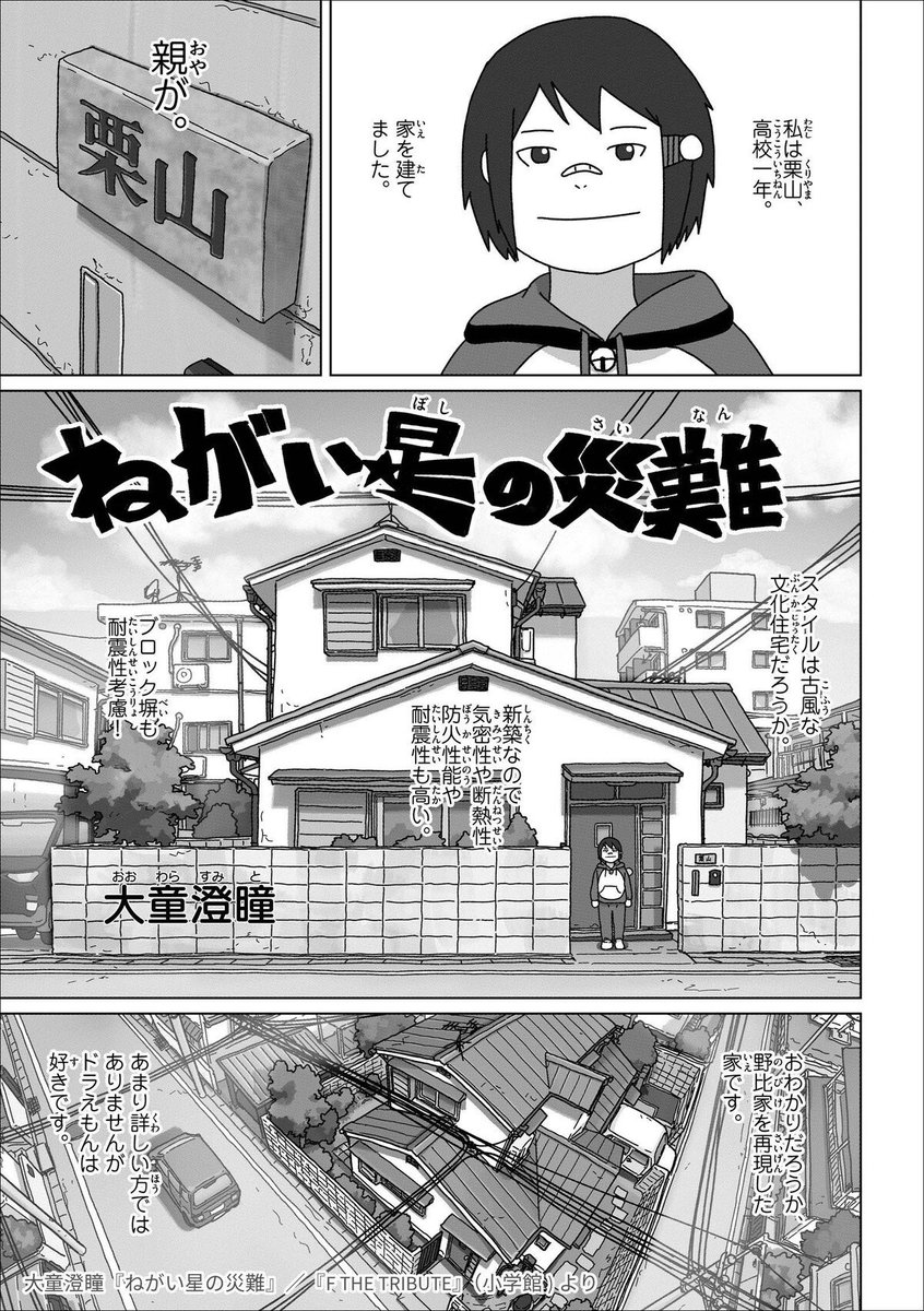 「こんな感じです 」大童 澄瞳/Sumito Oowaraの漫画