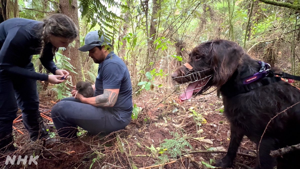 浅見潤(@asami_jun) - Twilog (ツイログ)