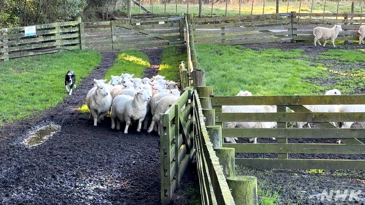 浅見潤(@asami_jun) - Twilog (ツイログ)