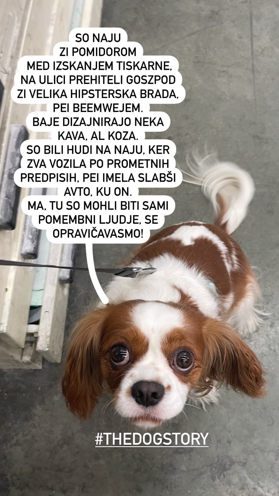 Koza Memes Don't Do It Monkey! : R/memes