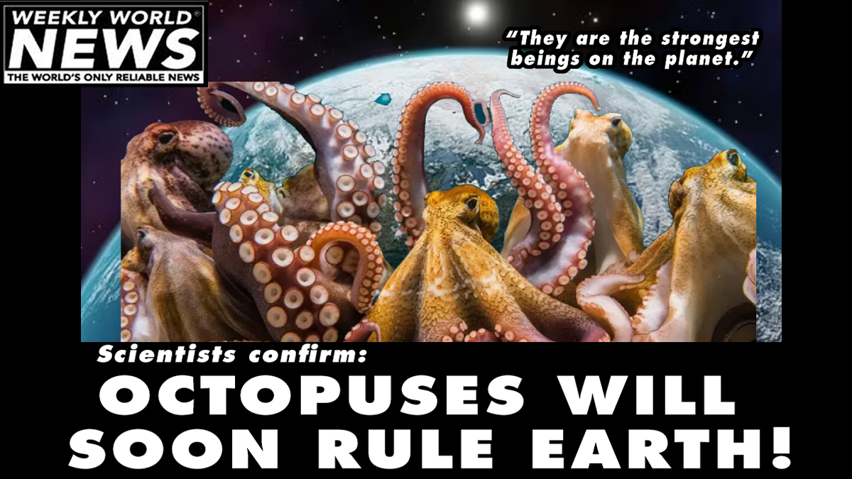 Octopus Mating Memes