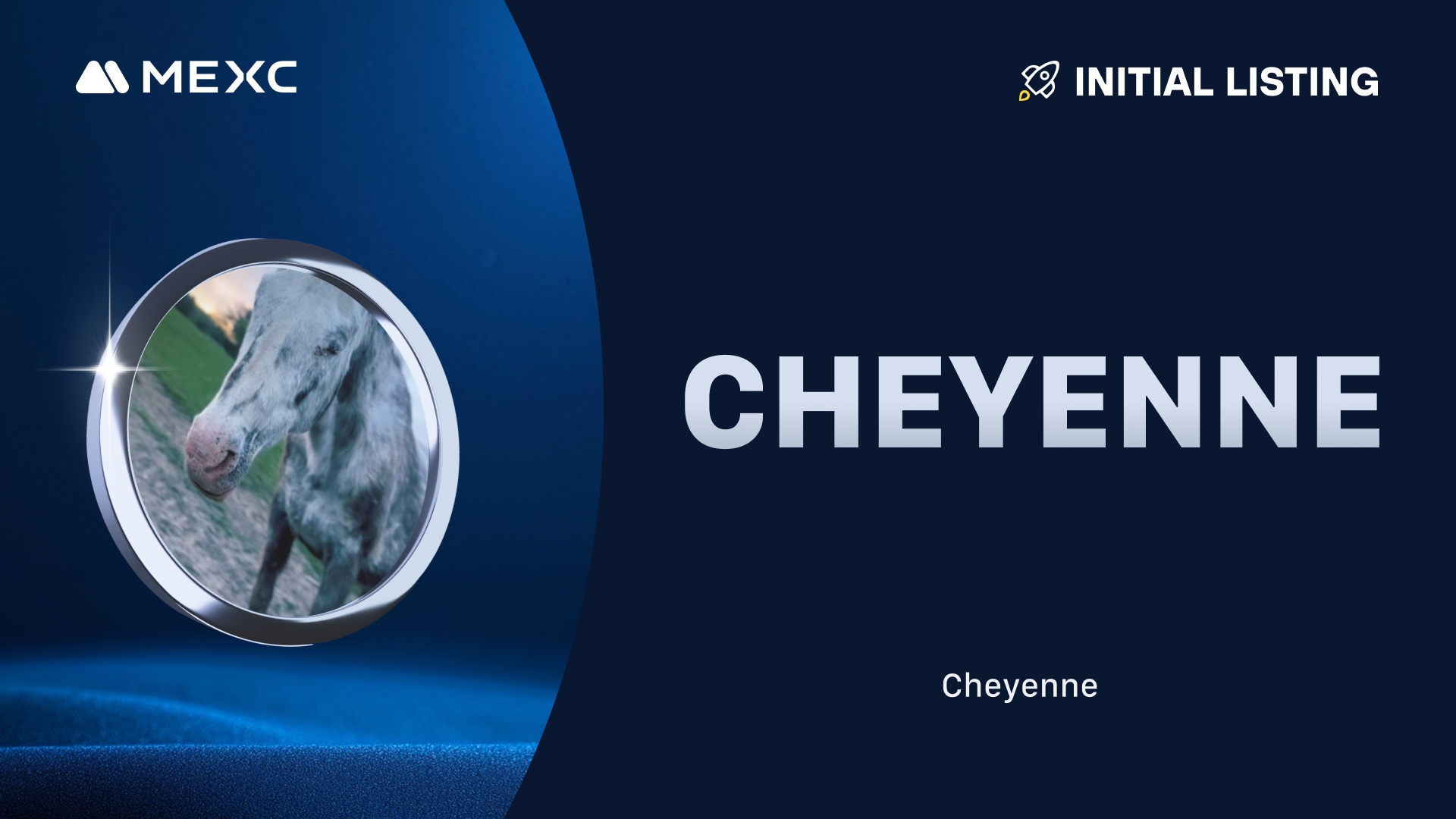 Cheyenne Memes #fyp #foryou #film #movie #tiktok #tv #meme #reba