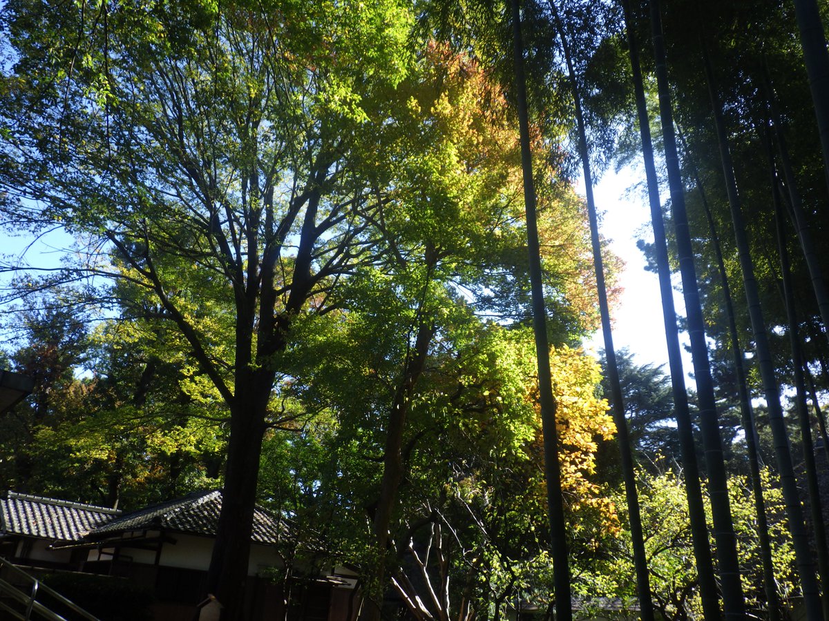 Fragment兎影館｜白座(@Fantas_magorie) - Twilog (ツイログ)